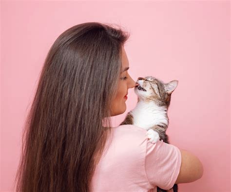Celebrating National Hug Your Cat Day Inkopious