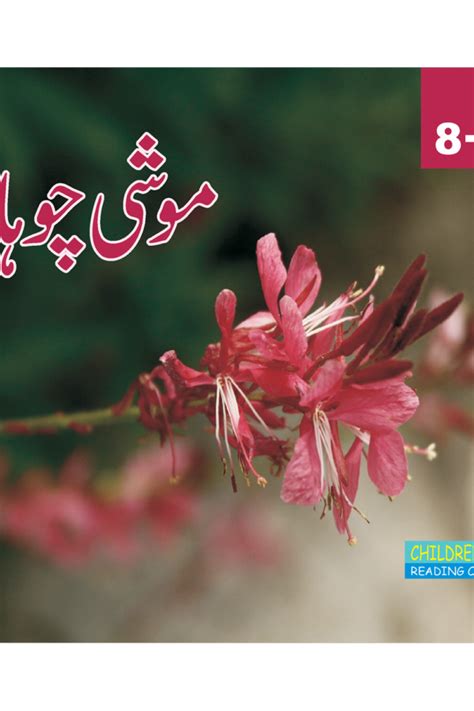 Moshi Choha Almadina Mart Online Store