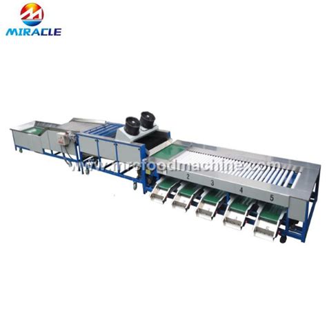 China Fruit And Vegetable Grading Machine Manufacturers Low Price