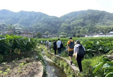 展闽清古厝魅力 续千年梅邑文化 公司启动《闽清传统建筑》编撰实地拍摄工作后垅村历史闽清