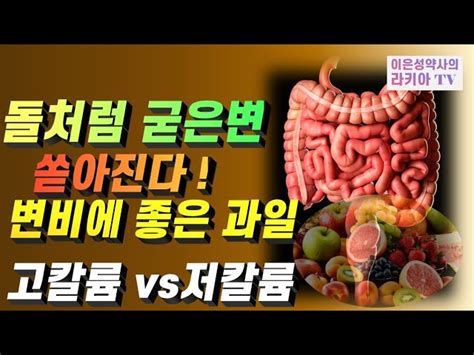 변비에 좋은 음식 변비해결방법 전문가 정보