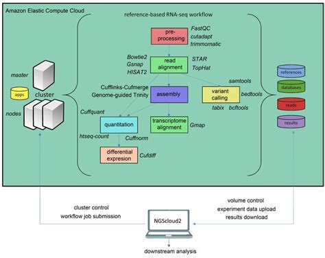 Reference Based Rnaseq Workflow In Ngscloud2 Download Scientific Diagram