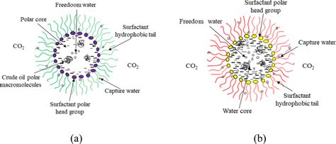 Schematic Diagram Of A Reverse Micelle A And A Microemulsion B Download Scientific Diagram