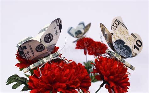 Lforquer Профиль корреспондента на Dreamstime