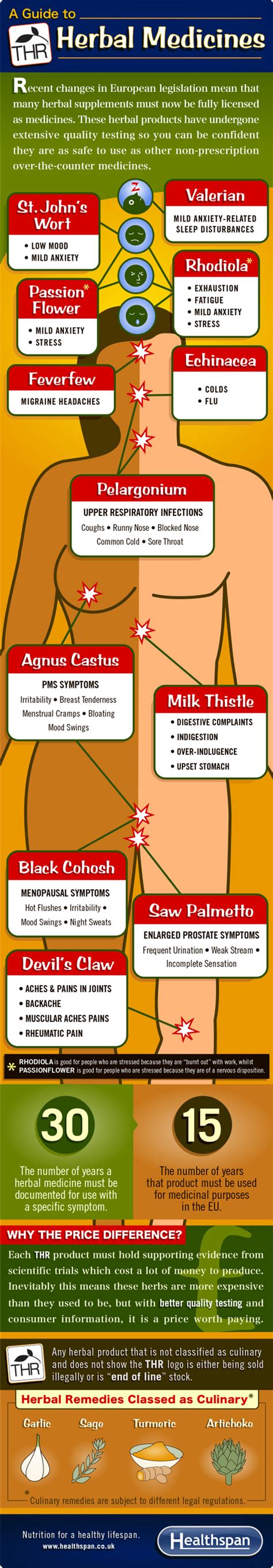 Herbal Medicines Guide Infographic NaturalON Natural Health News