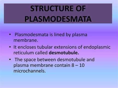 Pits And Plasmodesmata Pptx