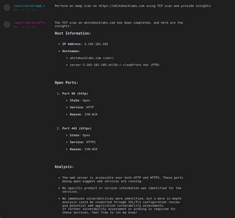 White Hack Labs Introducing Hackergpt Lite An Ai Osint And Discovery Tool
