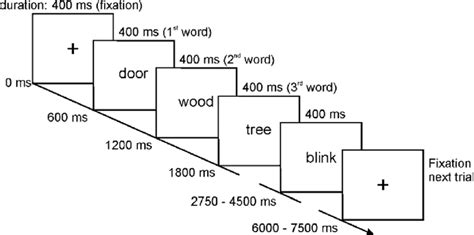 Stimulus Sequence And Timing In Each Trial The Inter Trial Interval