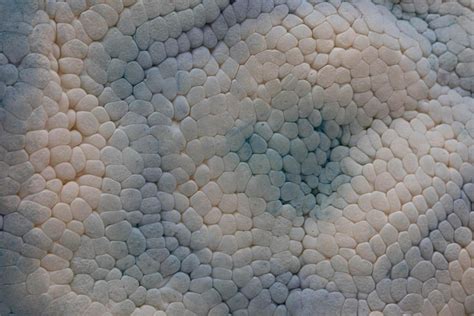 Elissa Lacoste Contemporary White And Blue Puff In Styrofoam And