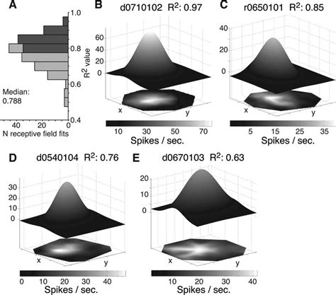 Fitting Mt Receptive Fields With A Gaussian Profile A Distribution Of