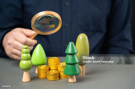 동전 근처의 나무 위에 돋보기를 들고 있는 사업가 녹색 채권 도시 공원 개발과 녹지 및 식물 심기에 대한 투자의 개념 맑은 공기