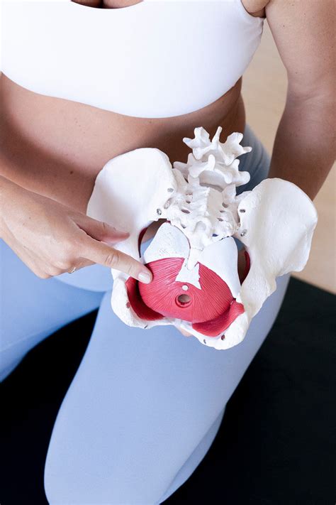 Abdominal Separation During Pregnancy What Is It How Can We Manage I