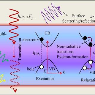 The Schematic Sketch For The Lightmatter Interaction For The Download Scientific Diagram