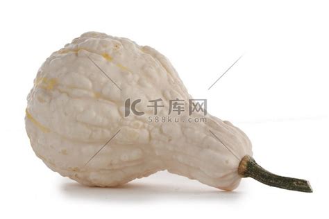 一个不寻常的白色南瓜孤立在白色背景。南瓜孤立在白色高清摄影大图 千库网