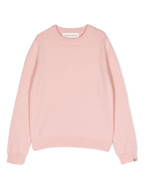 Extreme Cashmere Ribbed Knit Cashmere Blend Jumper