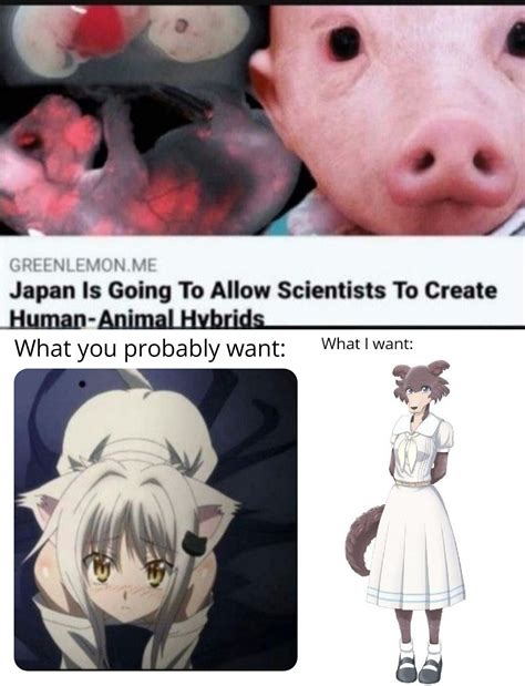 I Also Think Juno Looks More Like What Might Come From This Rmemes