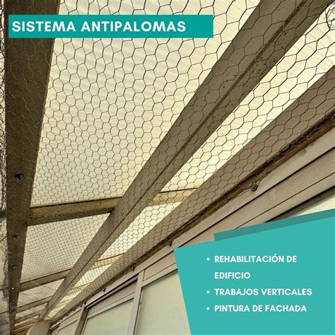ColocaciÓn De Sistema Anti Palomas Nv Vertical