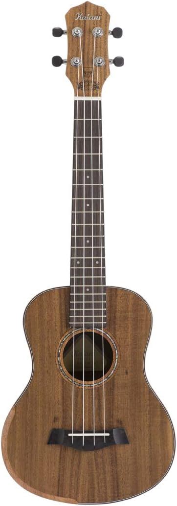 Os 31 Melhores Ukuleles de 2024 Intel Música