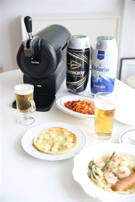 가정용생맥주기계 생맥주케그 테팔 비어텐더 더서브 컴팩트vb6418kr로 집에서 혼맥 즐기기 네이버 블로그