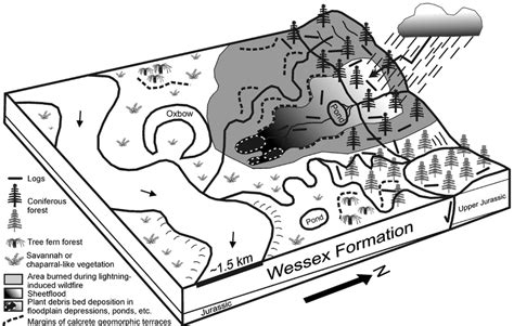 Simplified Schematic Representation Of One Of The Geomorphic And Download Scientific Diagram