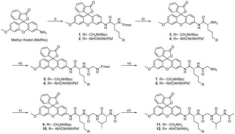 A Fluorogenic Assay Analysis Of Chemical Modification Of Lysine And