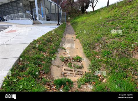 A Concrete Drainage Ditch Leading To A Clogged Catch Basin Catch Basin