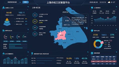 大屏可视化数据平台弃甲曳兵 站酷zcool