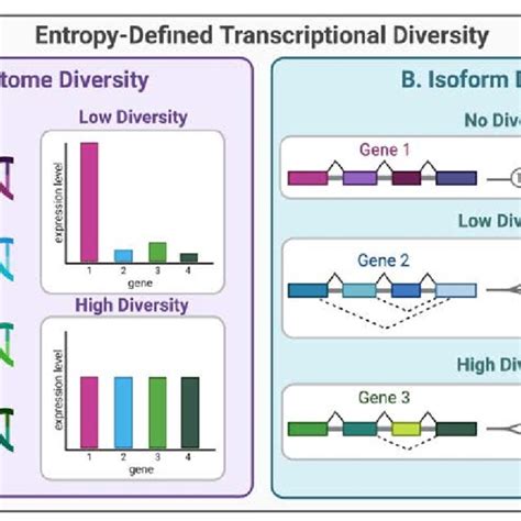 shannon entropy can be used to describe transcriptional diversity 2a