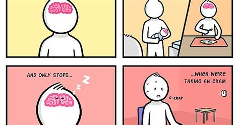 Oc The Human Brain Album On Imgur