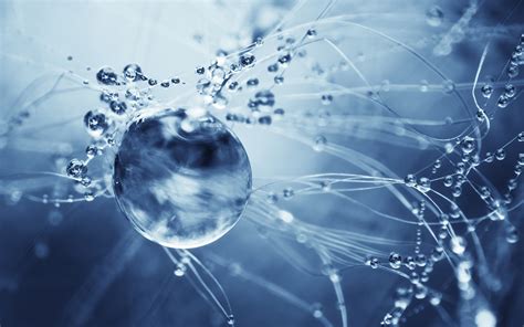 Monochrome Water Drops Macro String Wallpapers Hd Desktop And