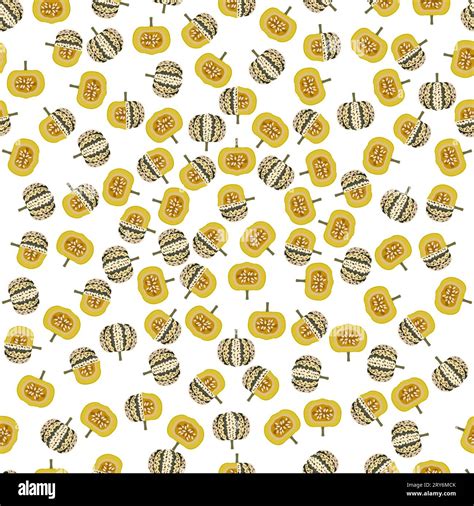 Seamless Pattern With Sweet Dumpling Squash Winter Squash Cucurbita
