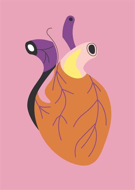 Realistic Human Heart Vector