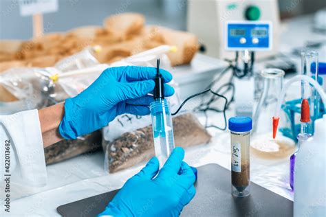 Soil Laboratory Analysis Scientist Measuring Ph Of Soil Sample Stock Photo Adobe Stock
