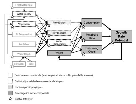 3 Conceptual Diagram Showing The Hierarchical Structure Of A Spatially Download Scientific