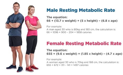 Metabolic Rate
