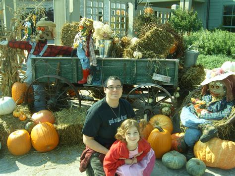 Pumpkin Patches And Corn Mazes In Greater Minneapolis Trekaroo