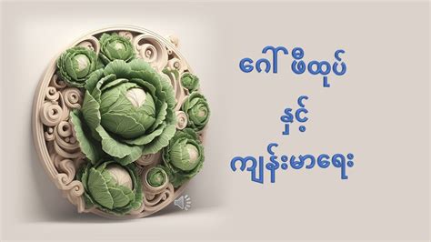 ဂေါ်ဖီထုတ်နှင့်ကျန်းမာရေး Health ကျန်းမာရေး Youtube