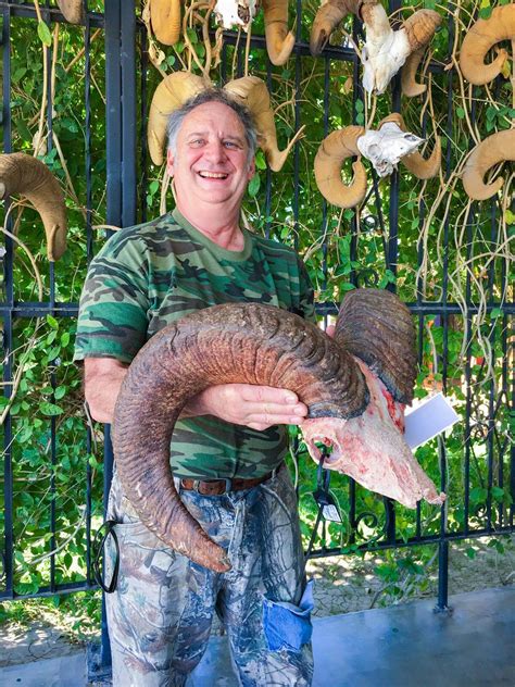 Bighorn Sheep Hunting In Mexico Bmo Hunts