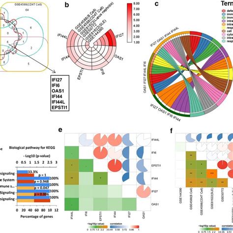 Gene Expression Correlation And Enrichment Analysis Showing The