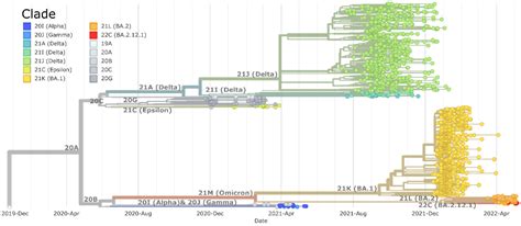 COVID Free Full Text Genomic Surveillance Of SARS CoV 2 Sequence