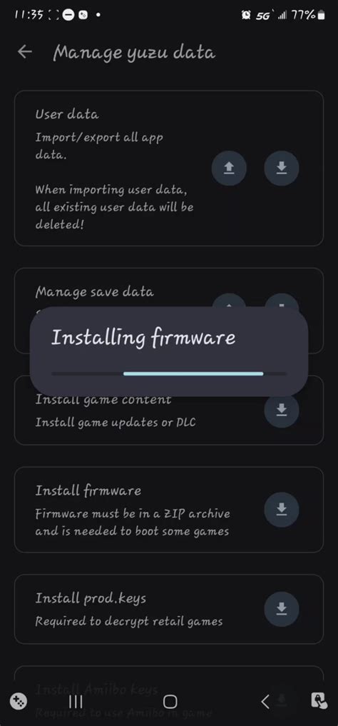 Games Not Loading Did All Steps Ryuzu