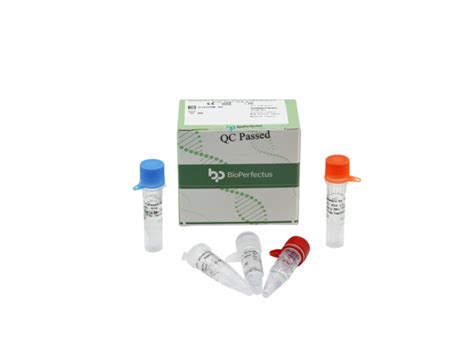 Influenza B Virus Victoria And Yamagata Real Time Pcr Kit Bioservices