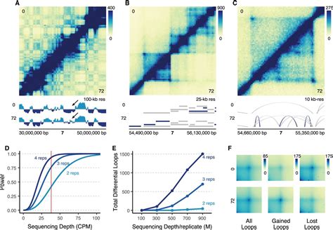 Chromatin Loop Dynamics During Cellular Differentiation Are Associated