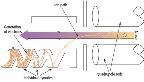 Discrete Dynode Electron Multiplier Extending The Dynamic Range
