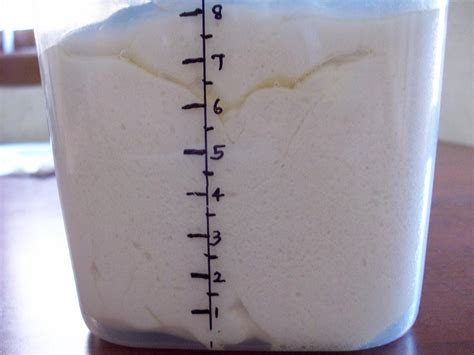 Cakes More How To Tell At A Glance If My Bread Dough Has Doubled How Do I Know If My Dough