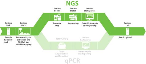 4gamer Ngs