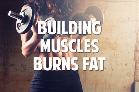 Why Building More Muscle Burns More Fat Danettemay