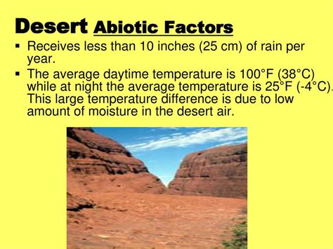 Abiotic Factors Desert