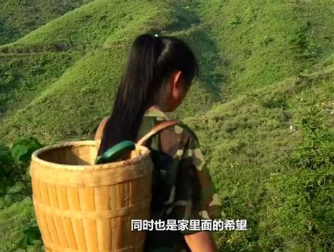 各大媒體爭相報道高考落榜美女回鄉務農300萬粉絲跟隨綻放人生 每日頭條