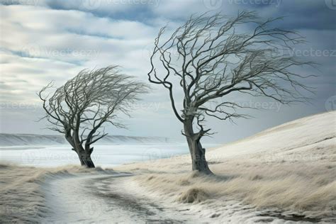 Ai Generated Winter Windswept Trees Generative Ai 36202628 Stock